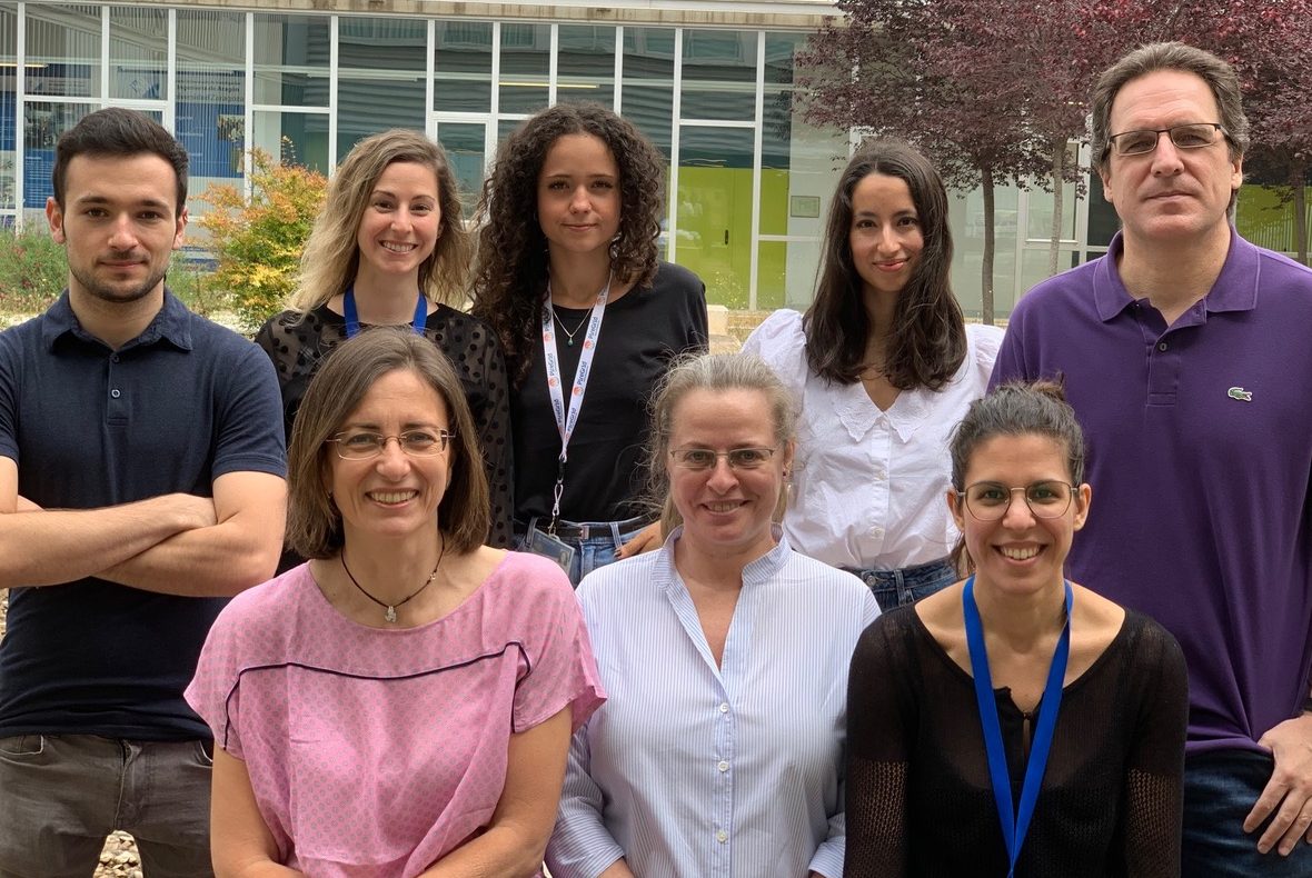 Fármacos frente SARS-Cov-2: Plataforma rápida y ágil de búsqueda de ...